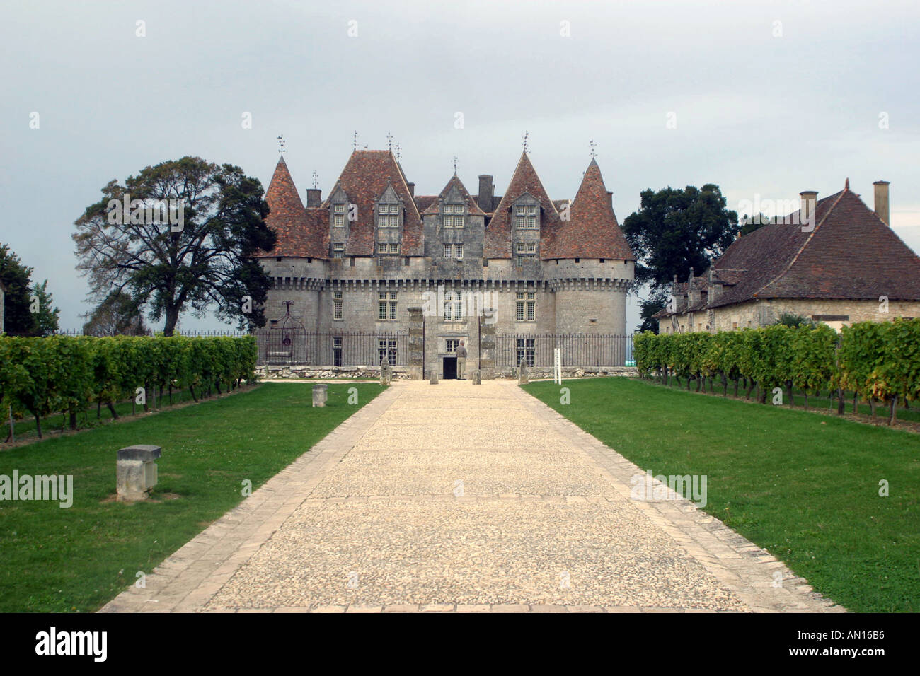 Bergerac, france vineyard hi-res stock photography and images - Alamy