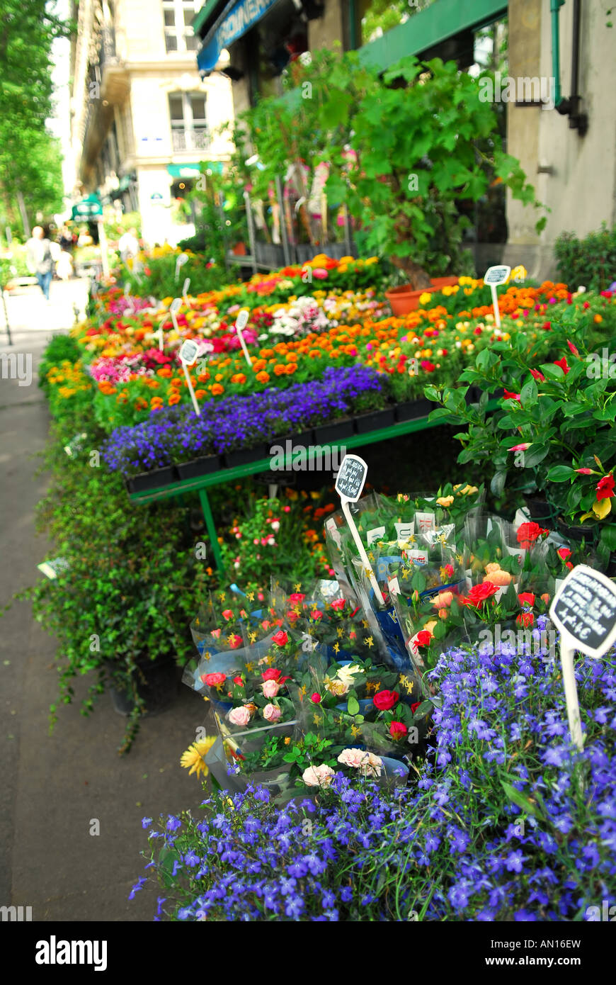 Flower stand paris hi-res stock photography and images - Alamy