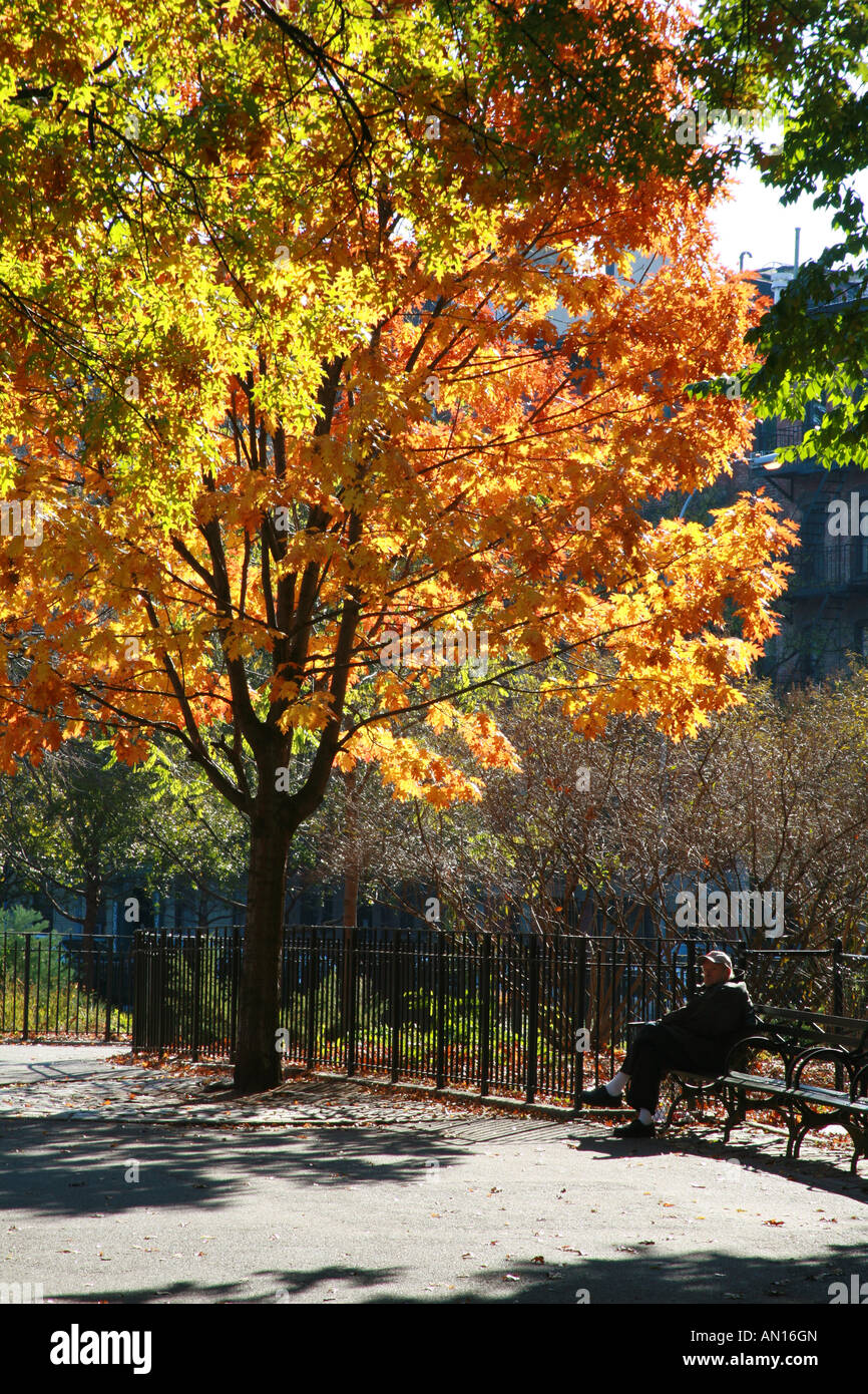 Tompkins square park hi-res stock photography and images - Alamy