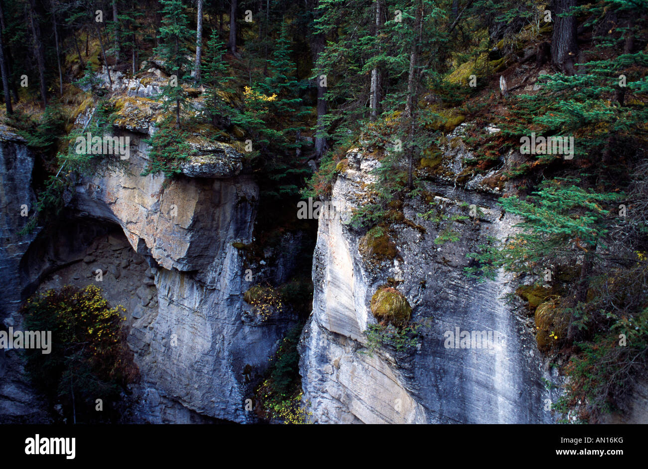 Gorge in Rocky Mountains, Canada Stock Photo - Alamy