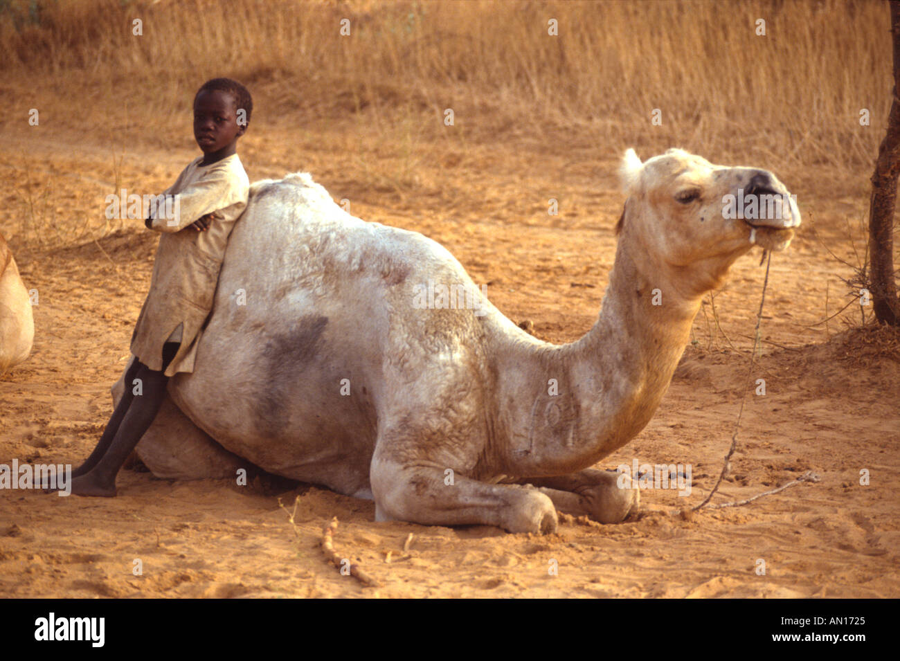 Dogon boy dogon country mali hi-res stock photography and images - Alamy