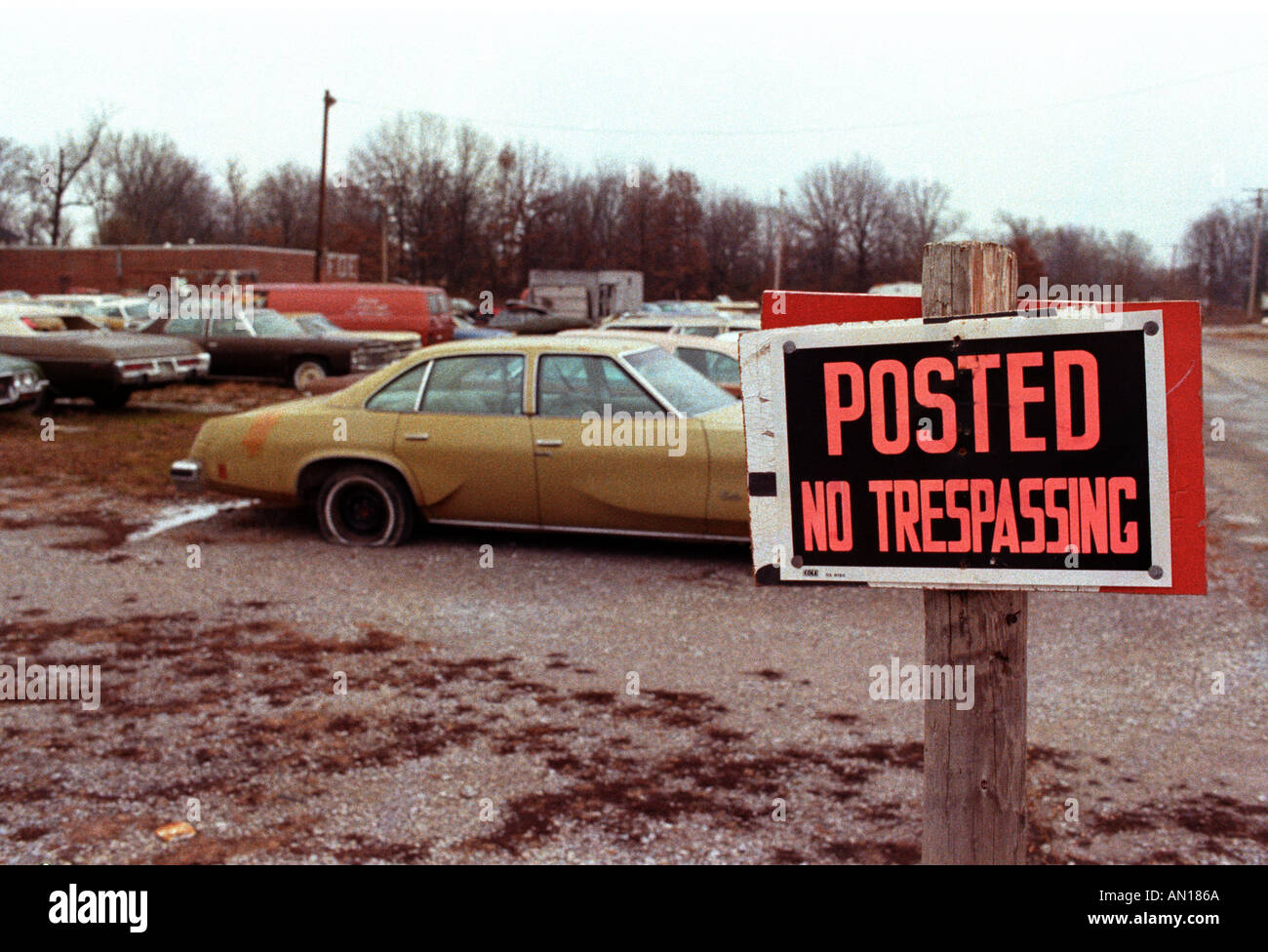 Junkyard with wrecked and junked cars Stock Photo - Alamy