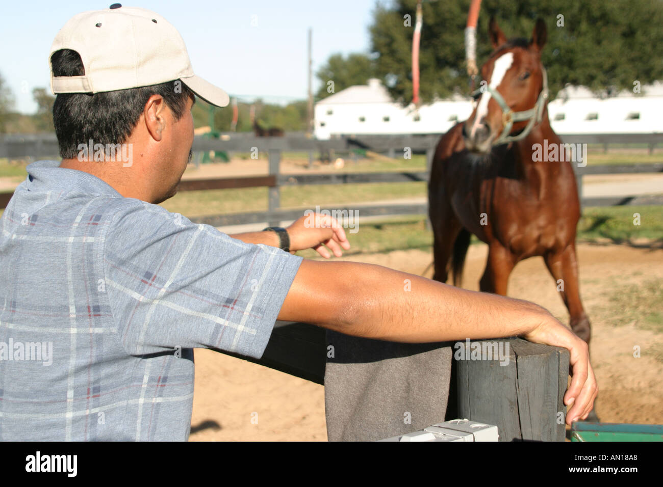 American racehorses hi-res stock photography and images - Alamy