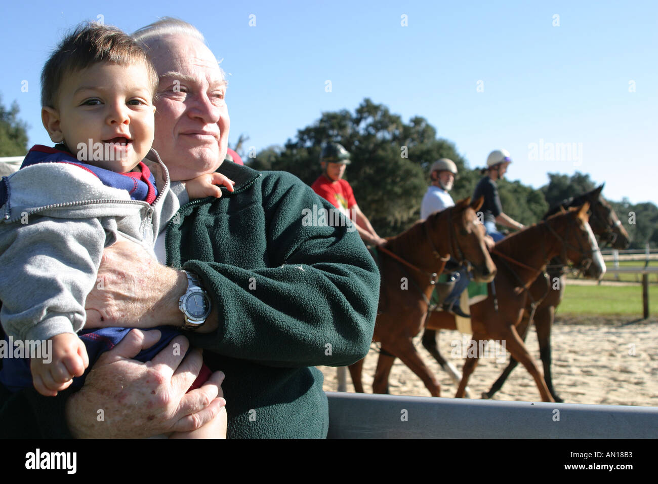 Ocala Florida,Racehorse Stud,stable devoted to training yearling ...