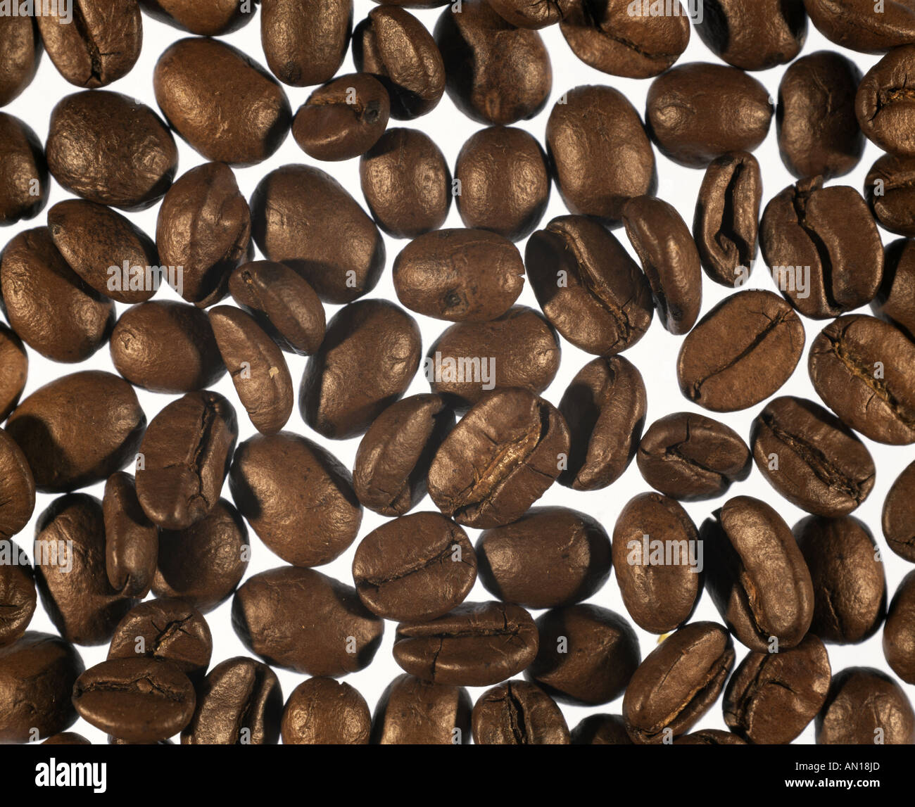 WHOLE ROASTED ARABICA COFFEE BEANS STUDIO Stock Photo - Alamy