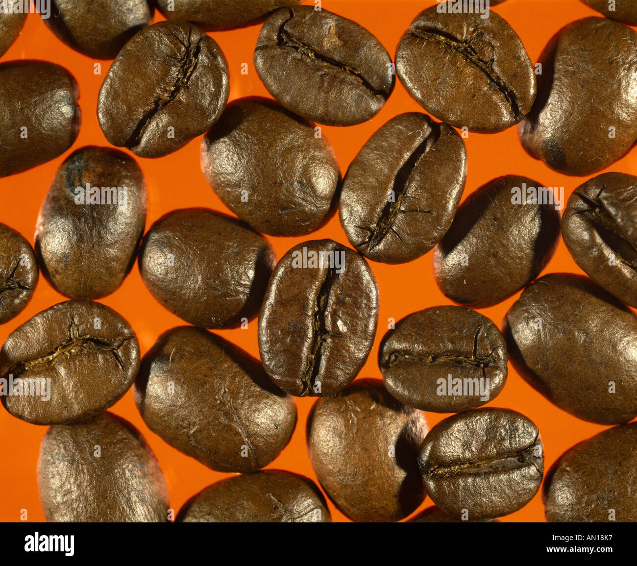 WHOLE ROASTED ARABICA COFFEE BEANS 4X STUDIO Stock Photo - Alamy