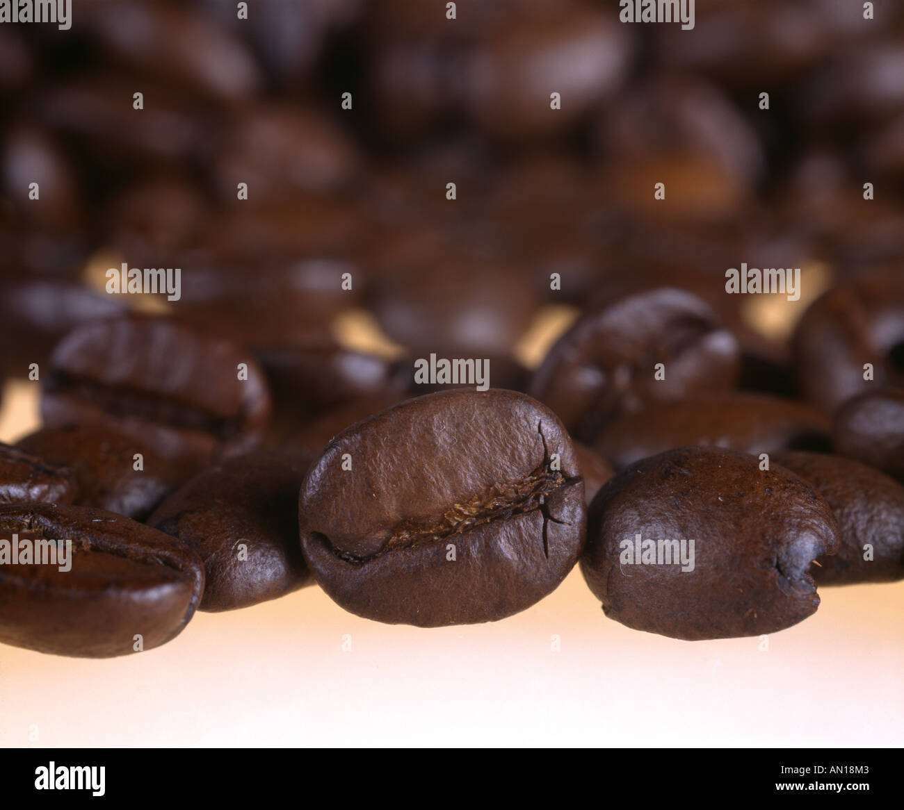 WHOLE ROASTED ARABICA COFFEE BEANS 4X STUDIO Stock Photo - Alamy