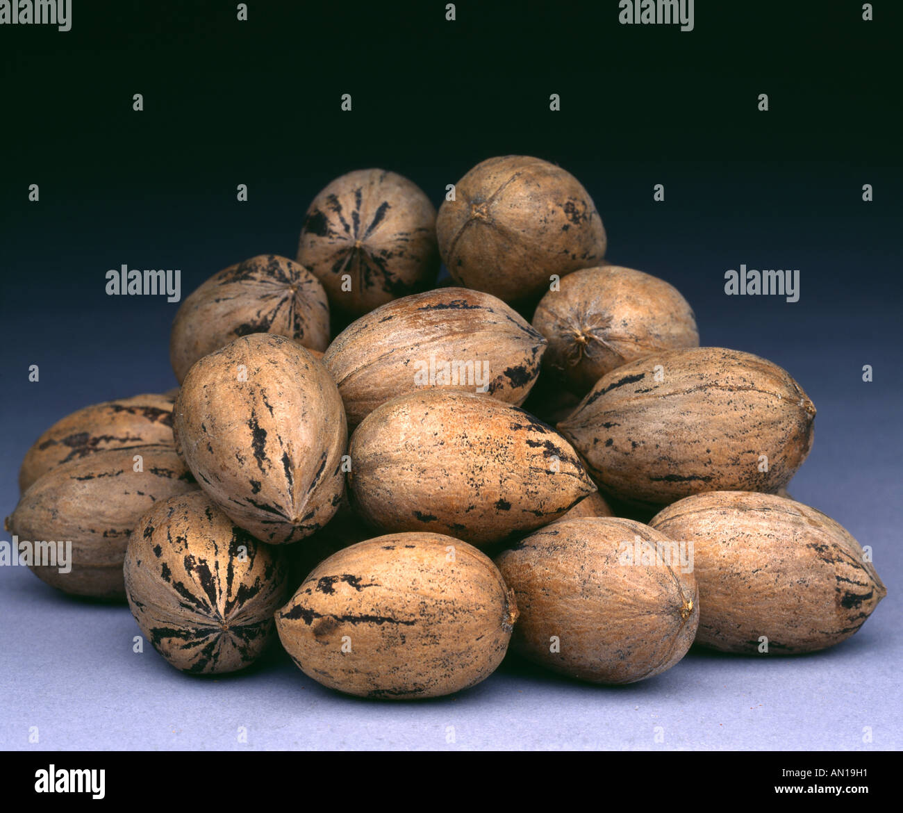 PILE OF PECANS STUDIO GEORGIA Stock Photo - Alamy