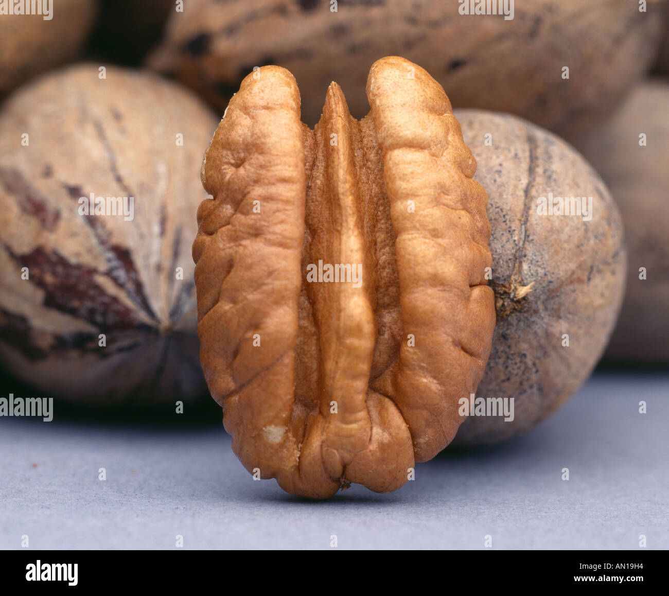 Desirable pecan hi-res stock photography and images - Alamy