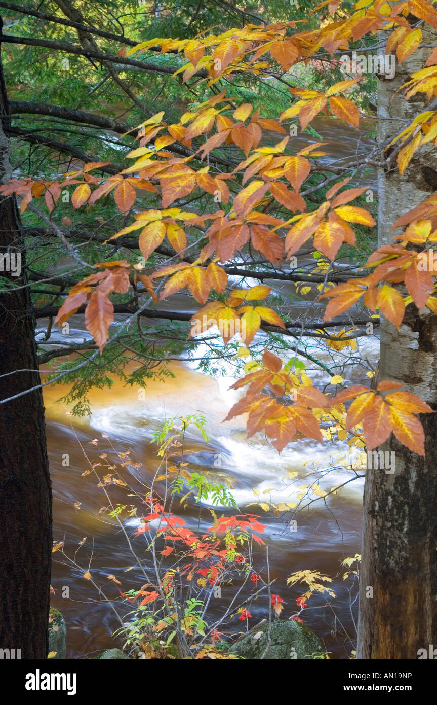 USA, New Hampshire, Stream and fall foliage Stock Photo - Alamy