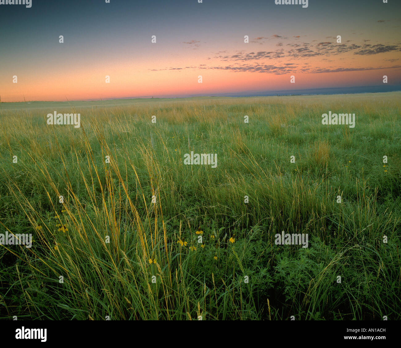 Mixed Grass Prairie at Fort Niobrara NWR in Nebraska Stock Photo - Alamy