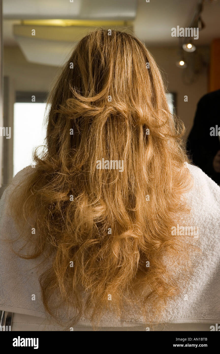 Close up of back of a head Stock Photo - Alamy