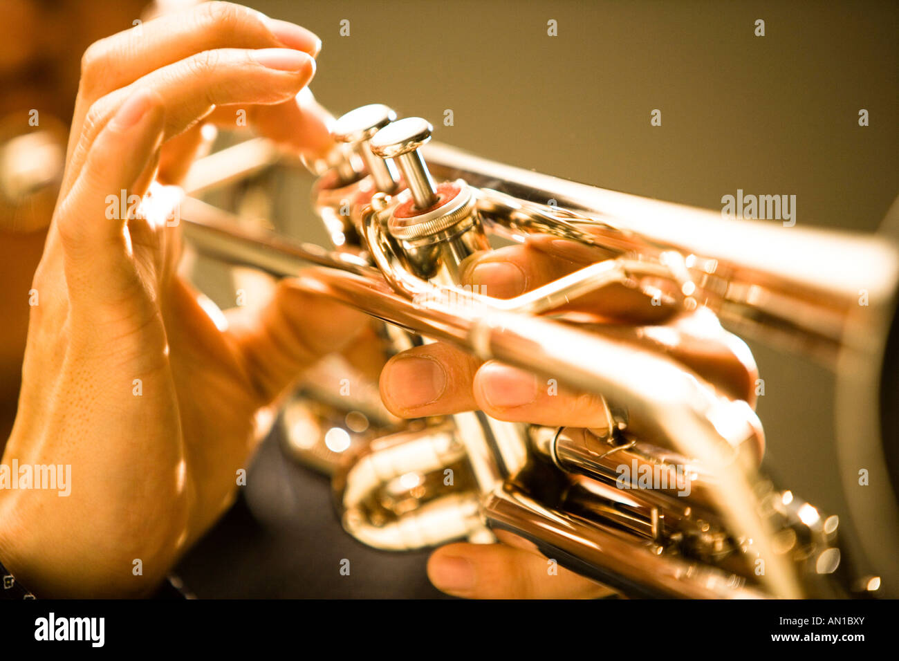 Trumpet trumpeter hi-res stock photography and images - Alamy