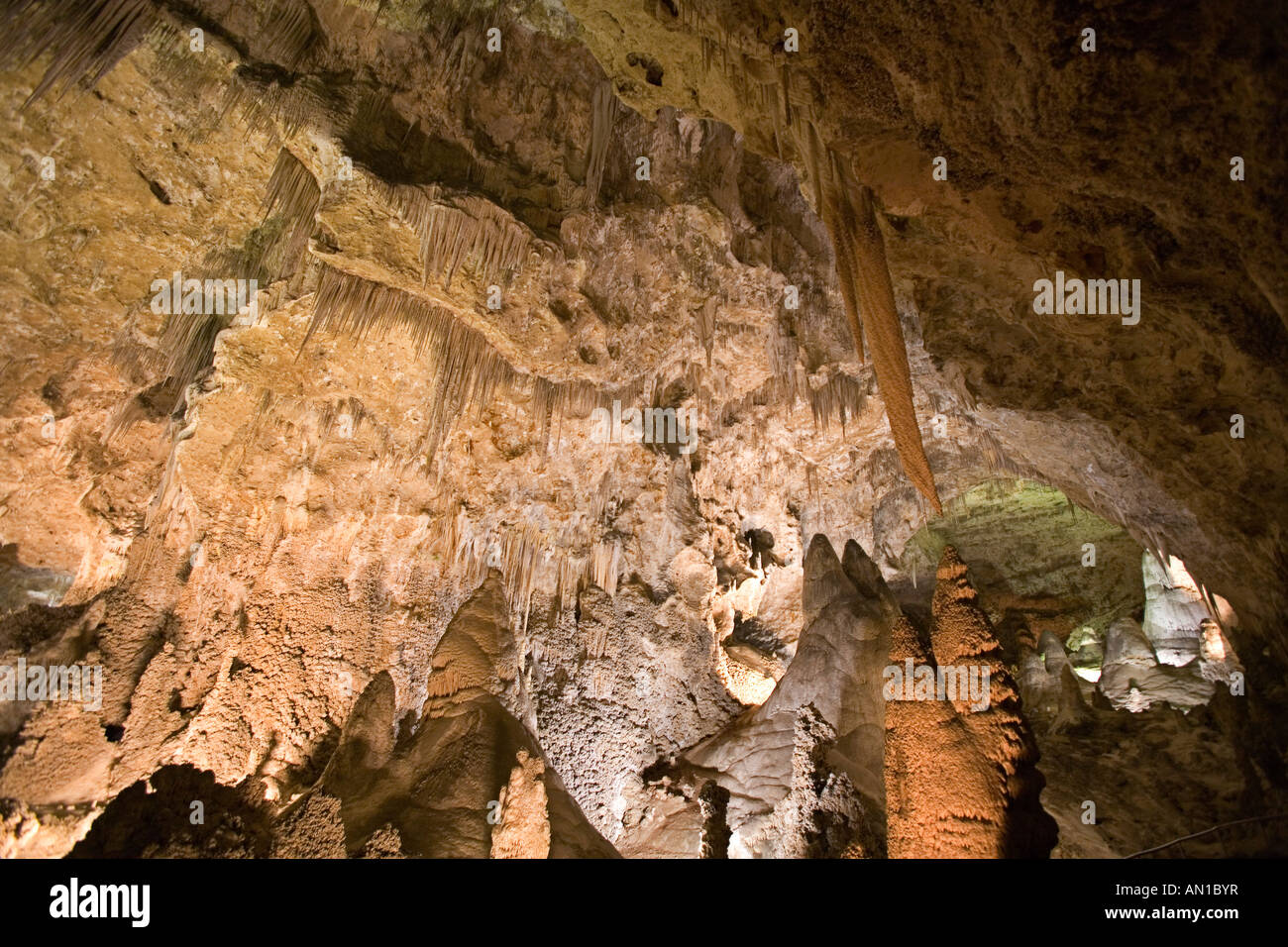 Largest Cave In The Usa