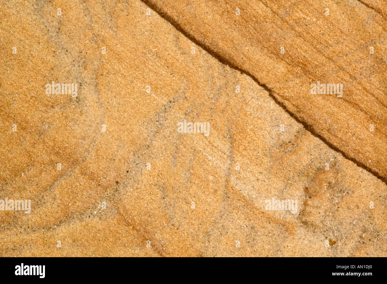 Cross section of tan colored sandstone Stock Photo - Alamy
