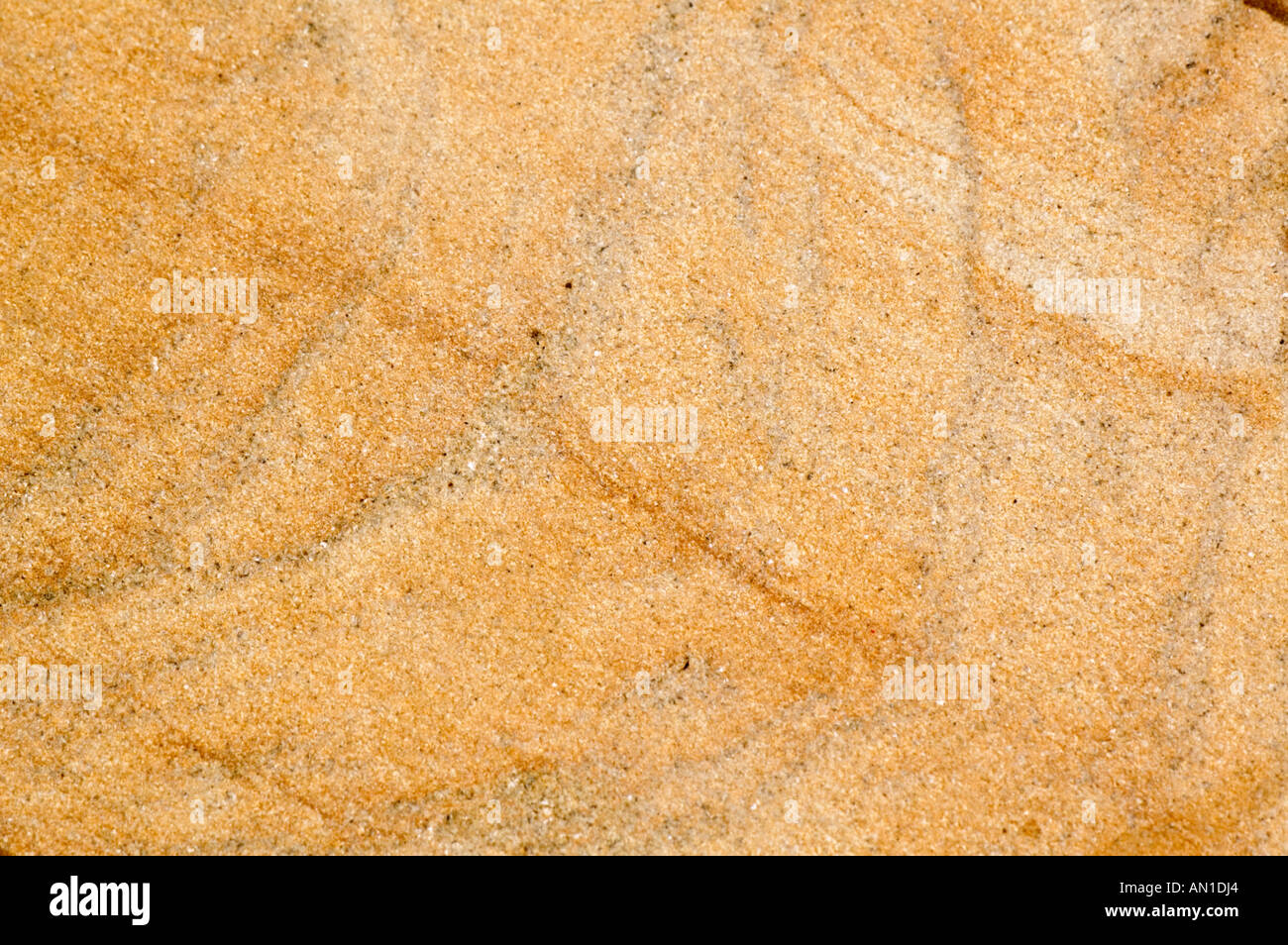 Cross section of tan colored sandstone Stock Photo - Alamy