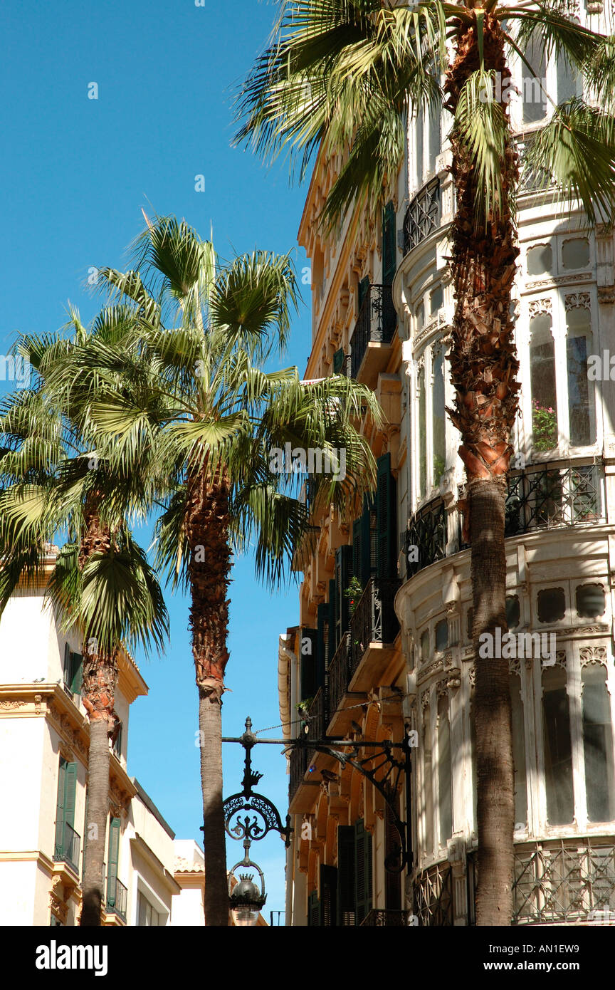 Stylish old Spanish buildings and palm trees Stock Photo - Alamy