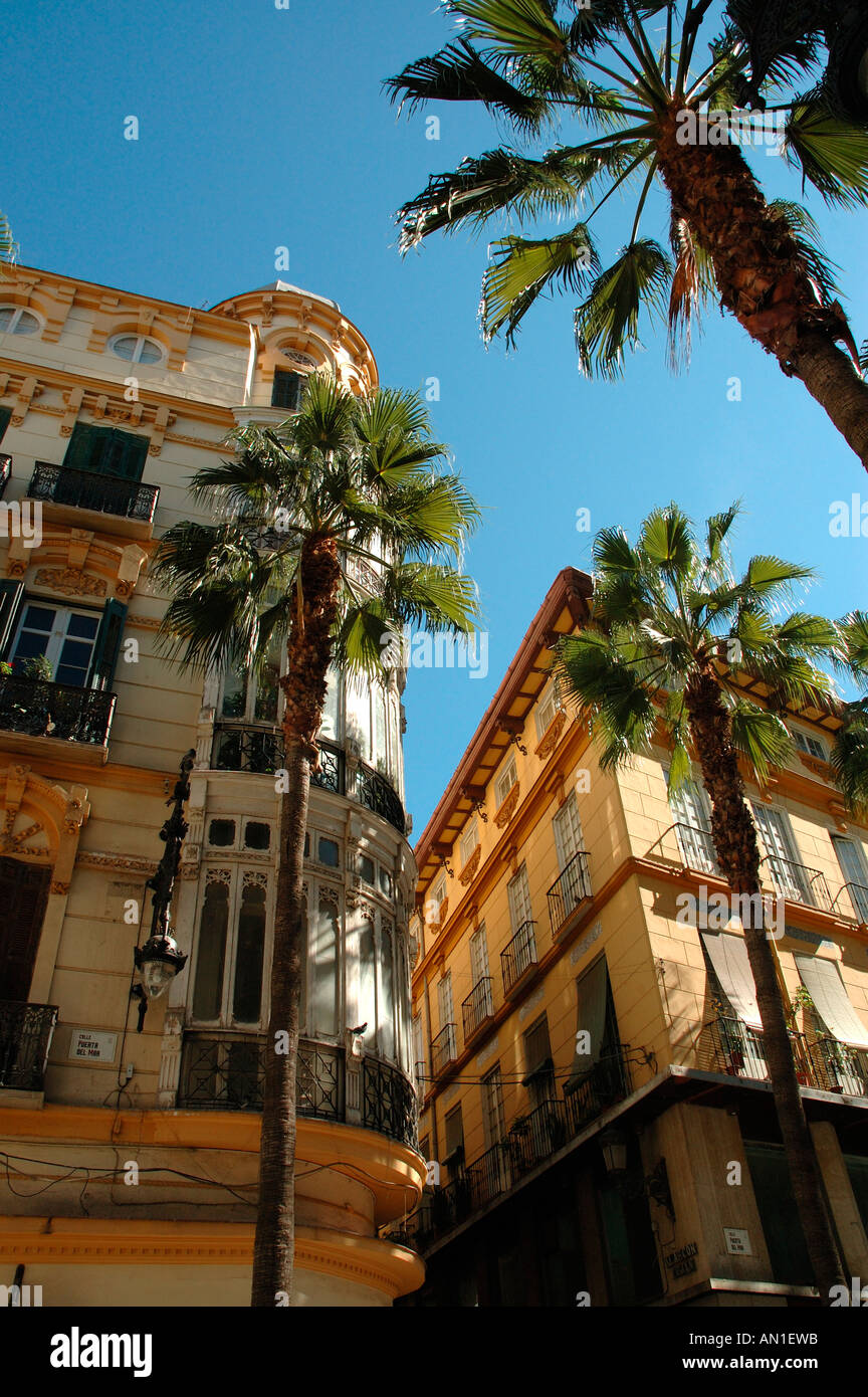 Stylish, old Spanish buildings and palm trees Stock Photo - Alamy