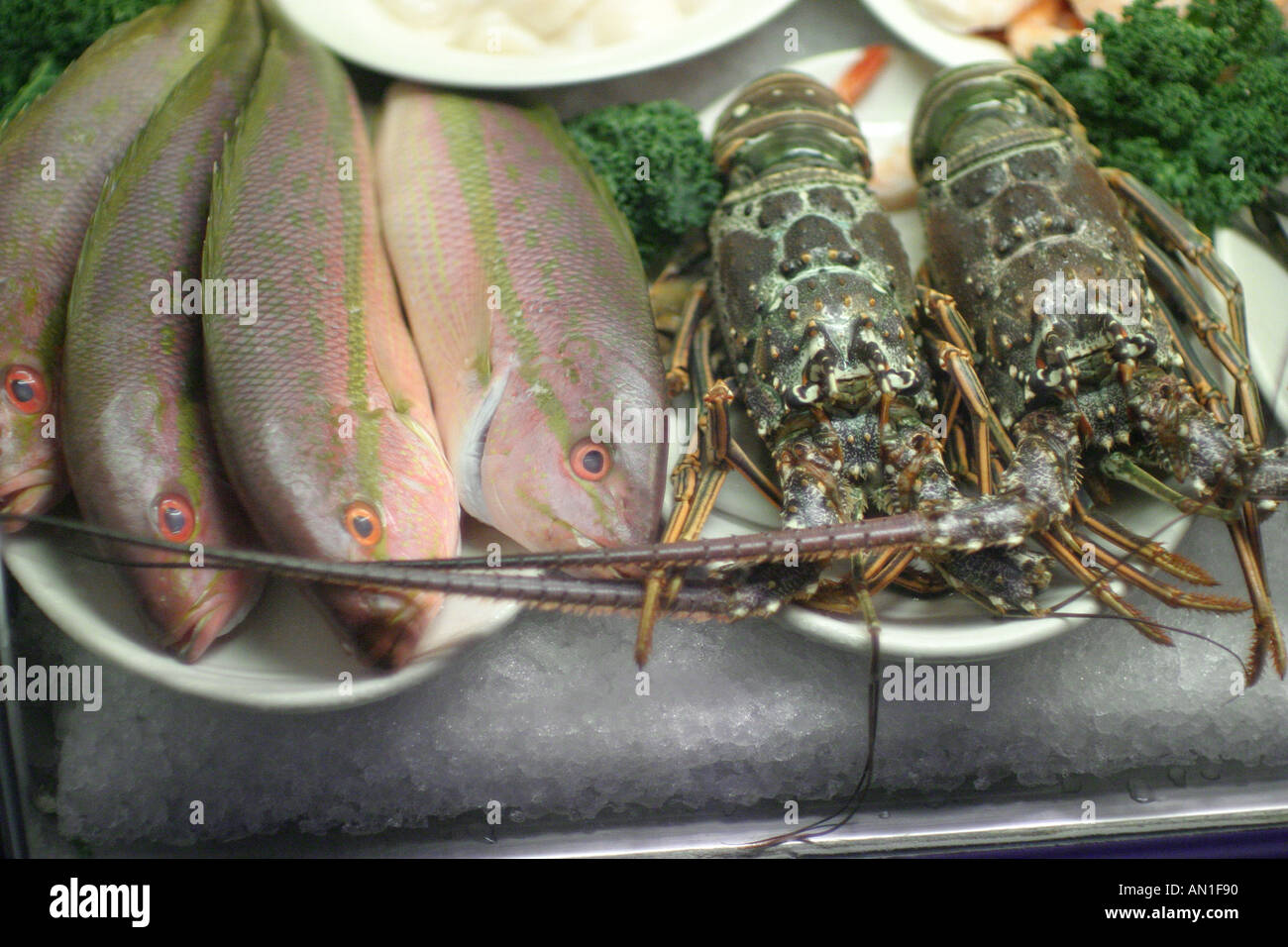 Miami Florida,South Miami,The Fish House,restaurant restaurants food ...