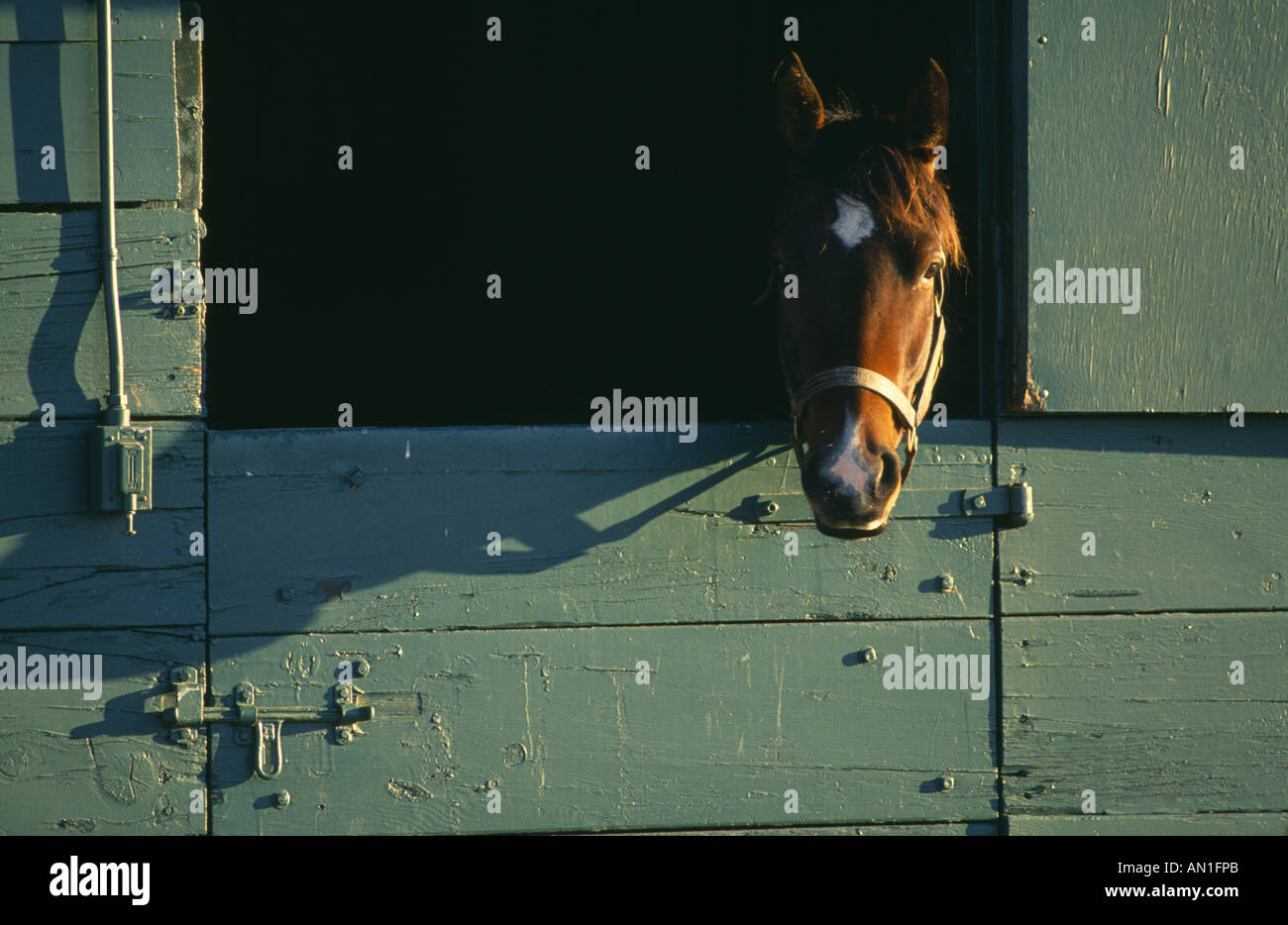 Old horse stable hi-res stock photography and images - Alamy