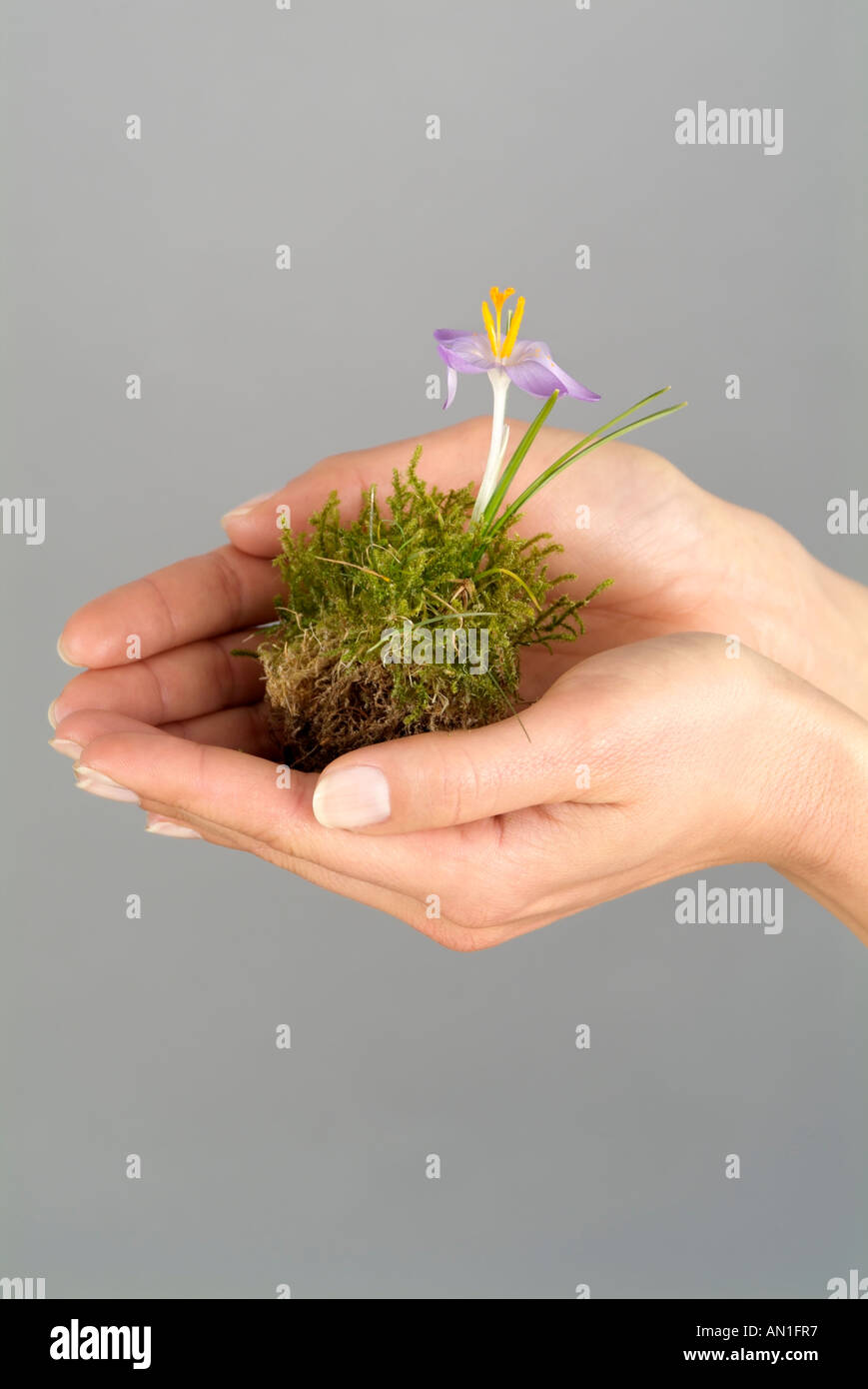 Herz hände hi-res stock photography and images - Alamy