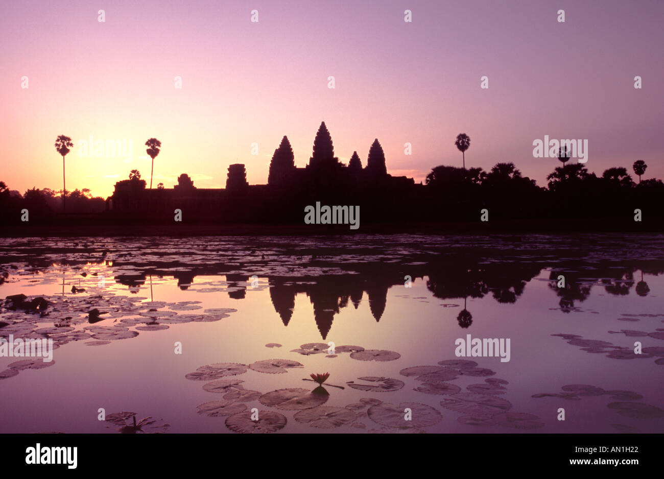 Angkor Wat sunrise and lilly pool Stock Photo - Alamy