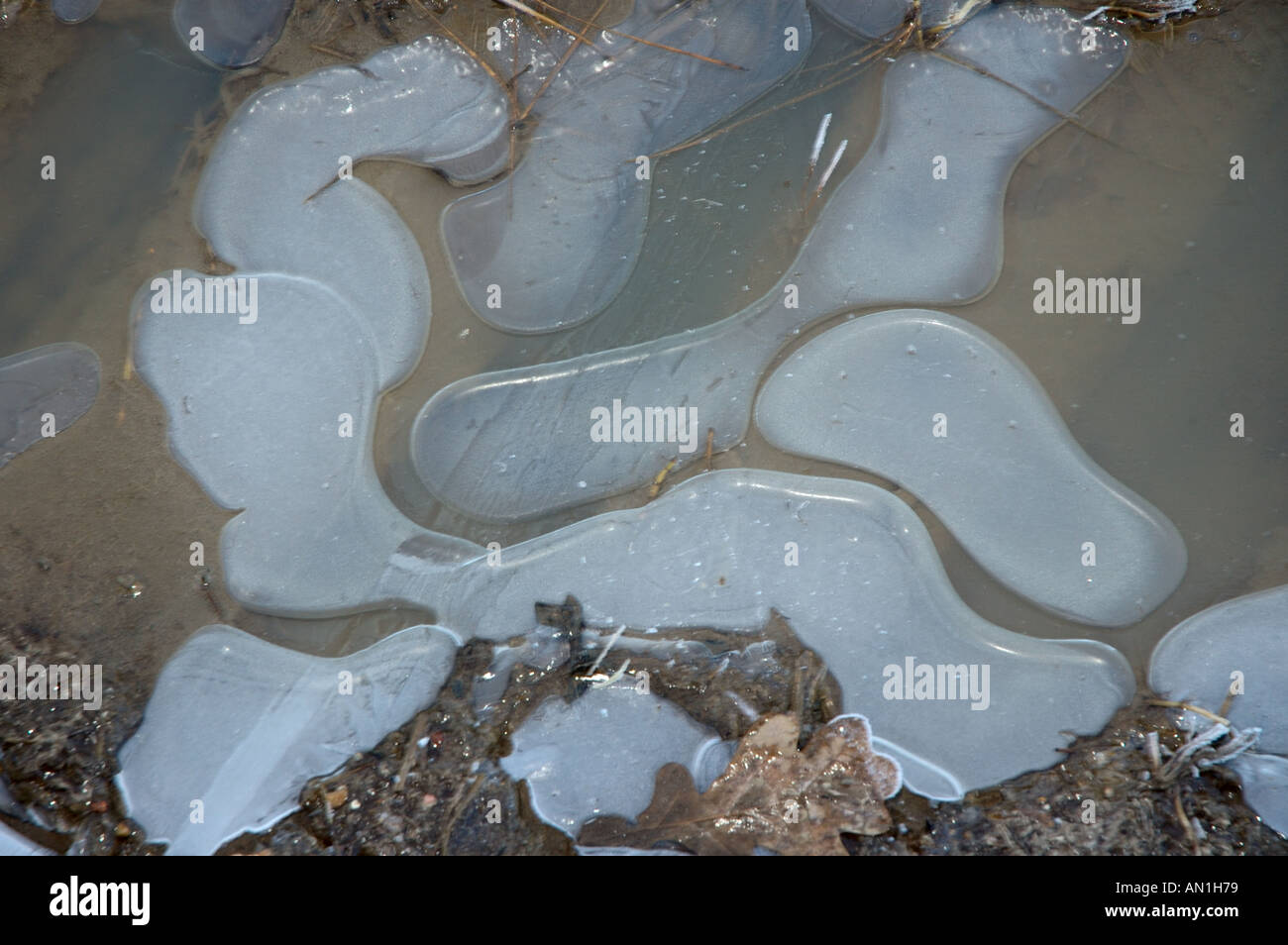 Patterns of ice in frozen puddle Stock Photo - Alamy