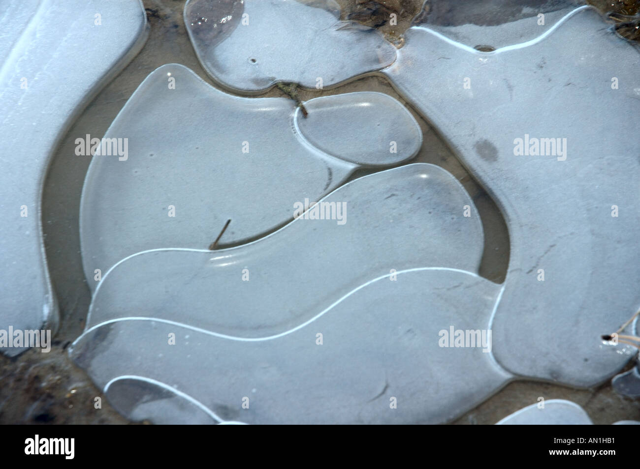 Patterns of ice in frozen puddle Stock Photo - Alamy