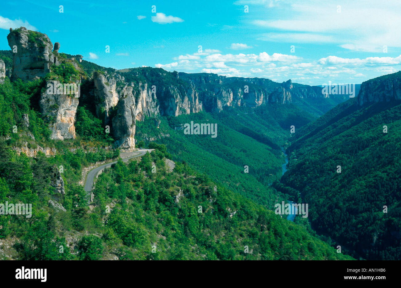Woody ravine hi-res stock photography and images - Alamy