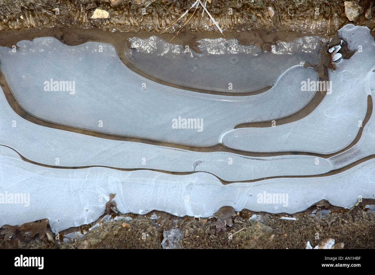 Patterns of ice in frozen puddle Stock Photo - Alamy