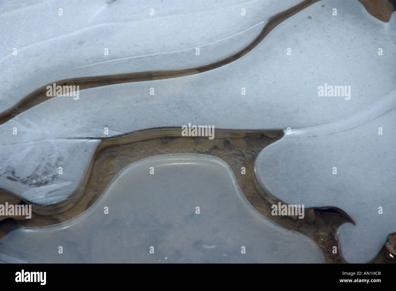 Patterns of ice in frozen puddle Stock Photo - Alamy