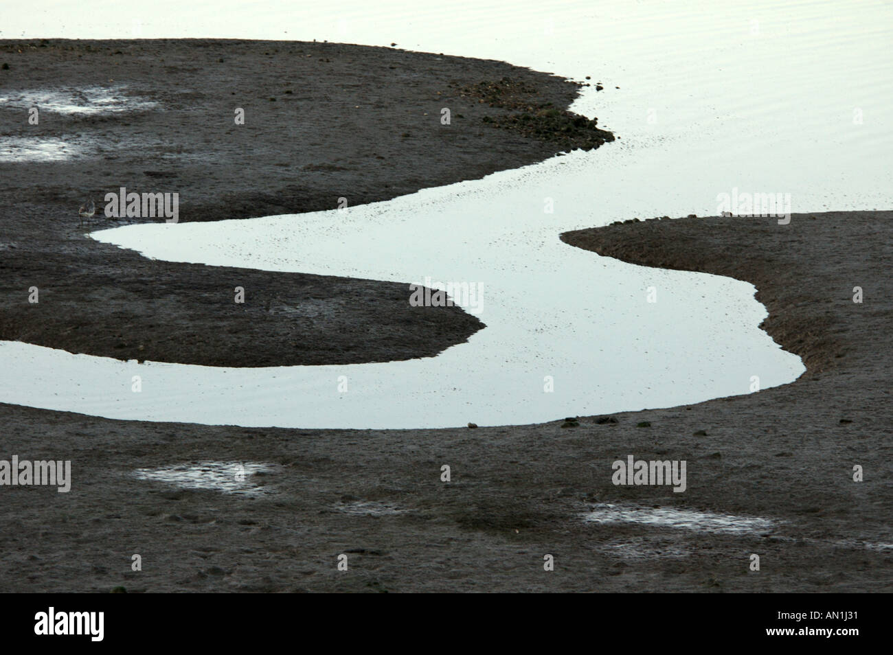 Pattern of sea runnels running through mud banks Stock Photo - Alamy