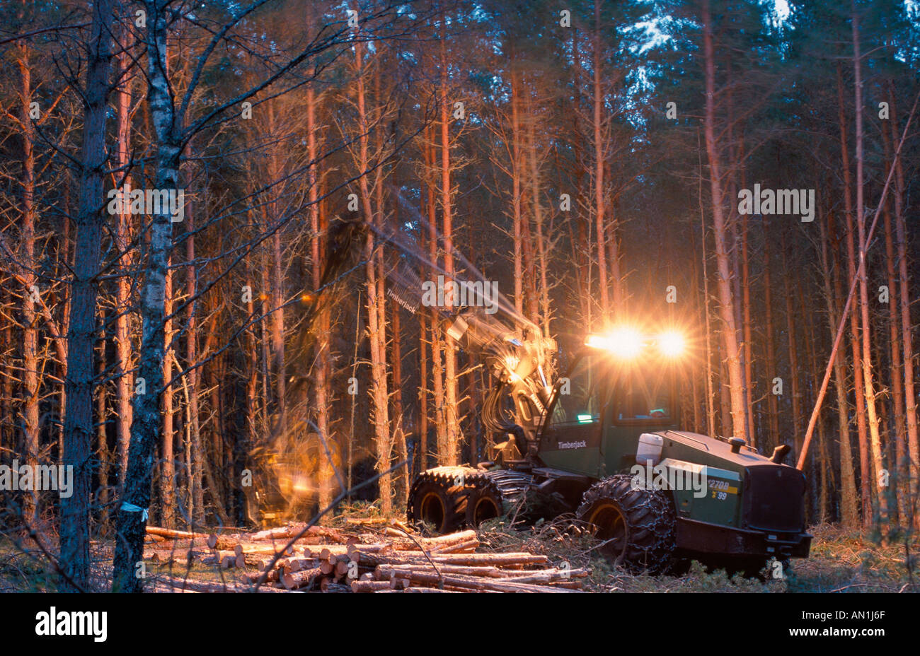 Logging clear felling deforestation hi-res stock photography and images ...