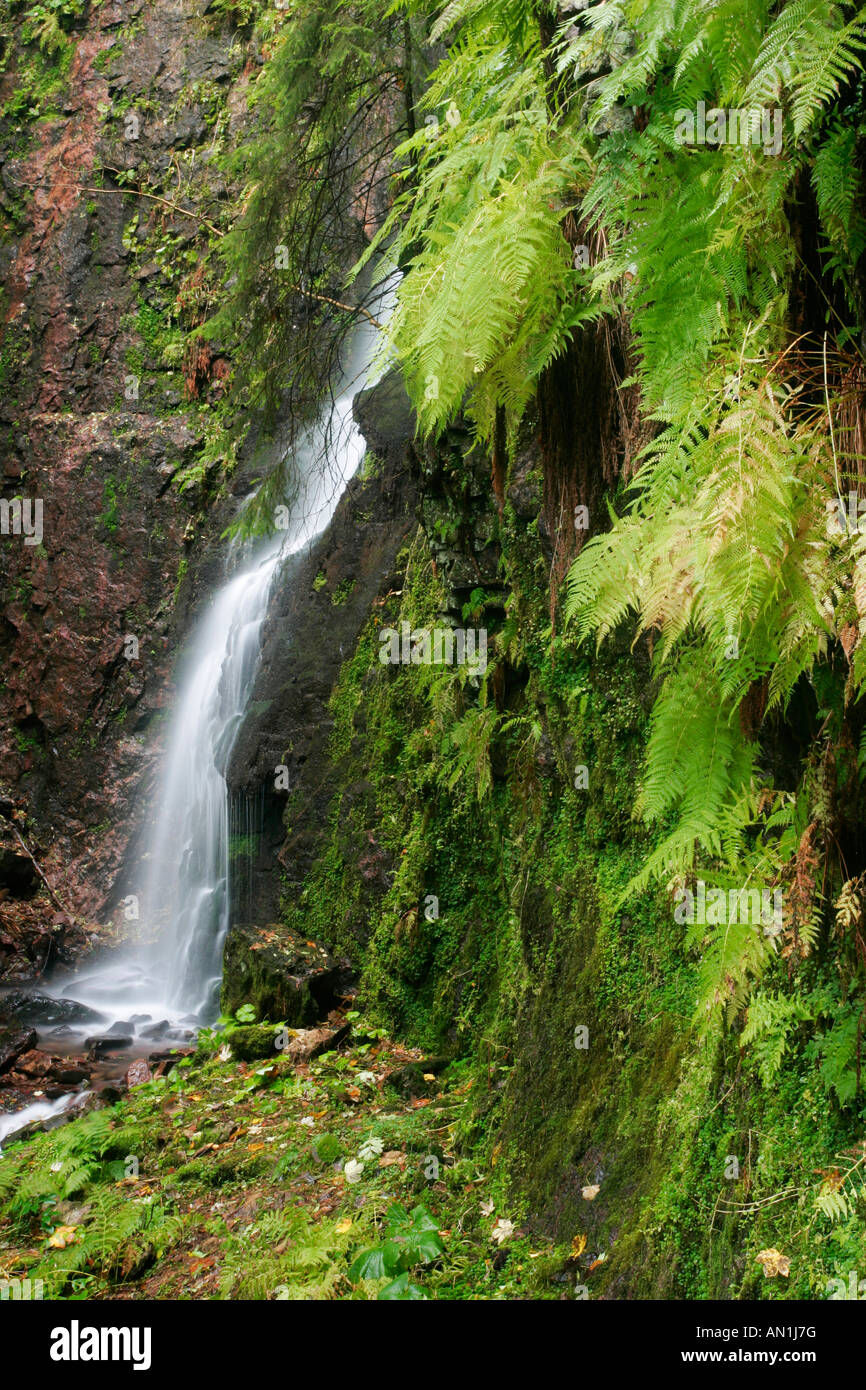 Nord Schwarzwald Bad Rippoldsau Burgbachwasserfall Deutschland Germany ...