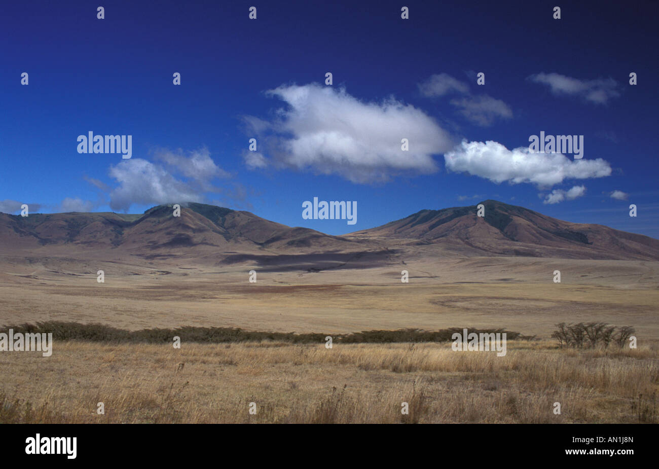 View towards Sadiman Volcano from the Ngorongoro crater rim Stock Photo ...