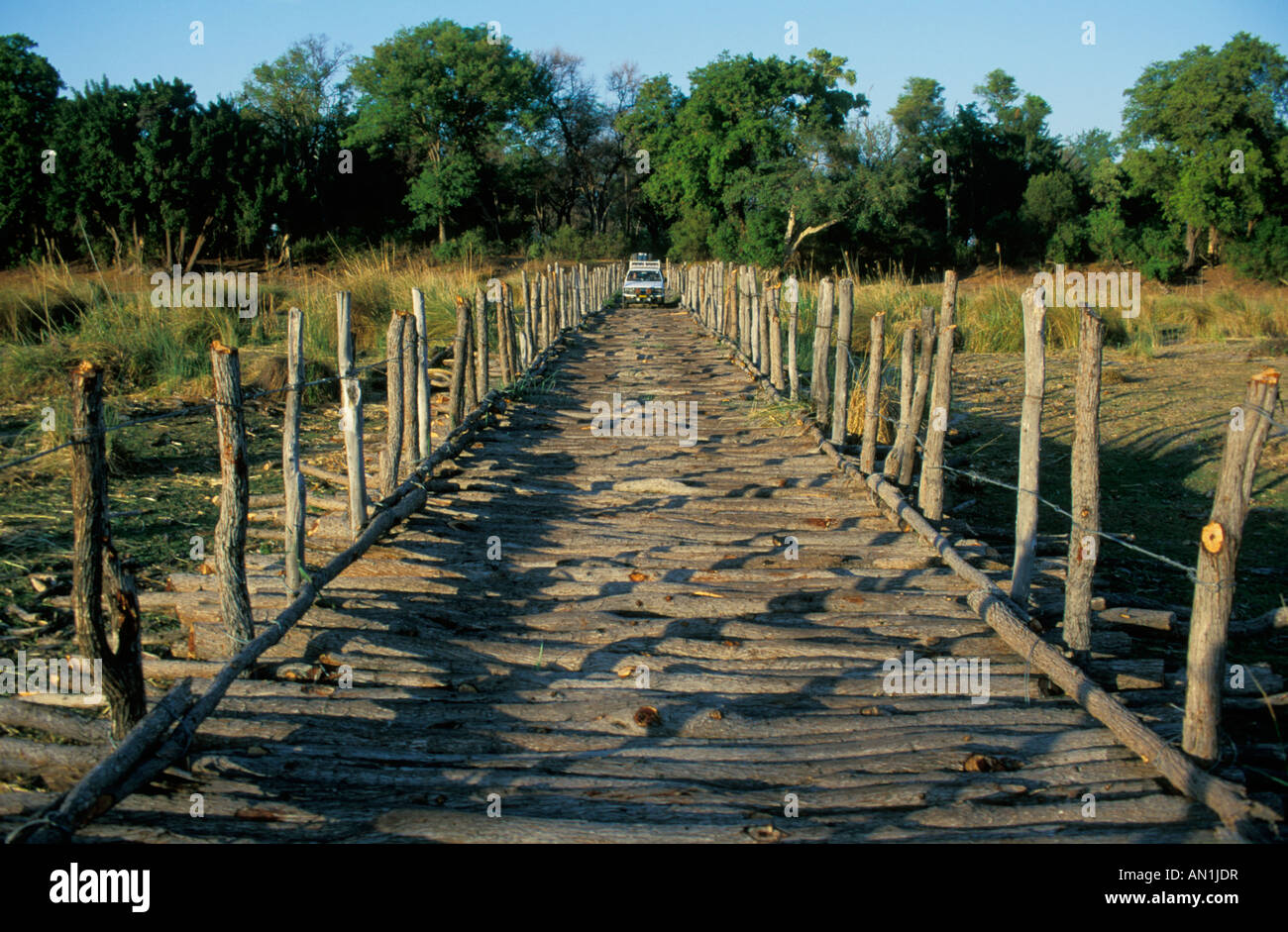 Mopane pole bridge at Chobe National Park Stock Photo - Alamy