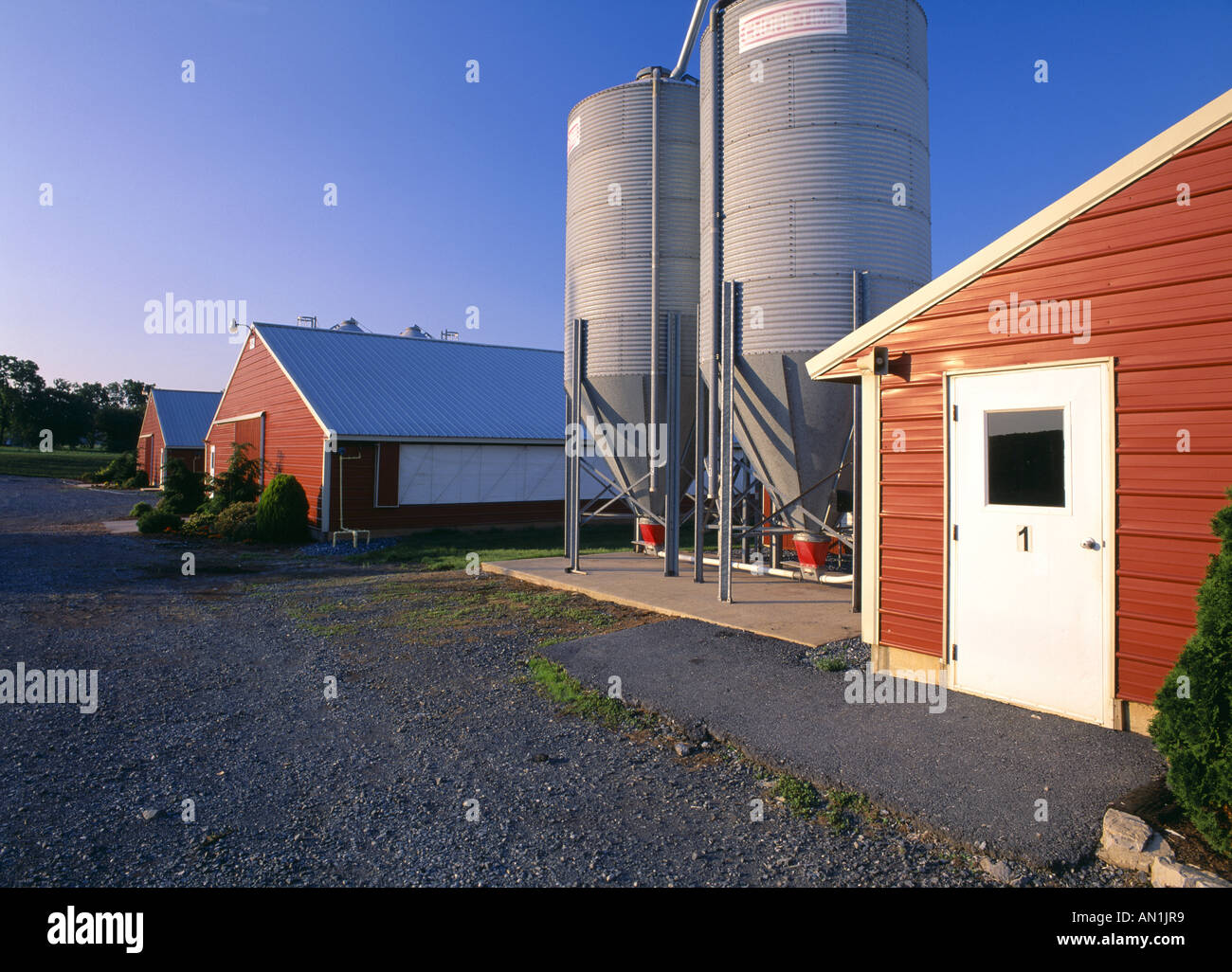 OUTSIDE VIEW OF BROILER HOUSES 414 FEET LONG LANCASTER COUNTY ...