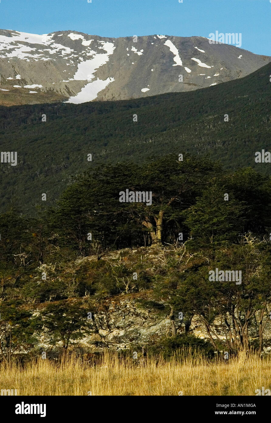 Tierra del Fuego National Park Argentina South America Stock Photo - Alamy