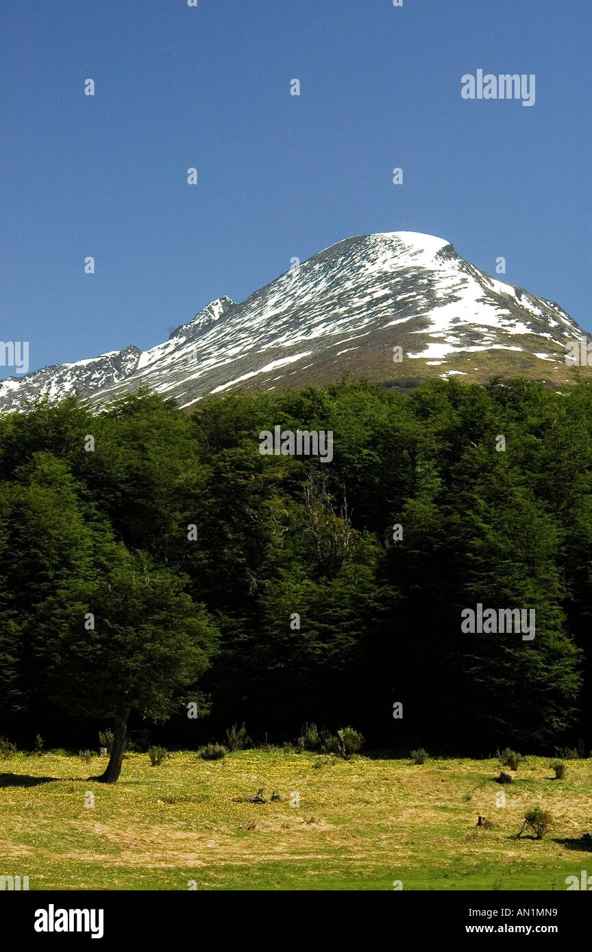 Tierra del Fuego National Park Argentina South America Stock Photo - Alamy