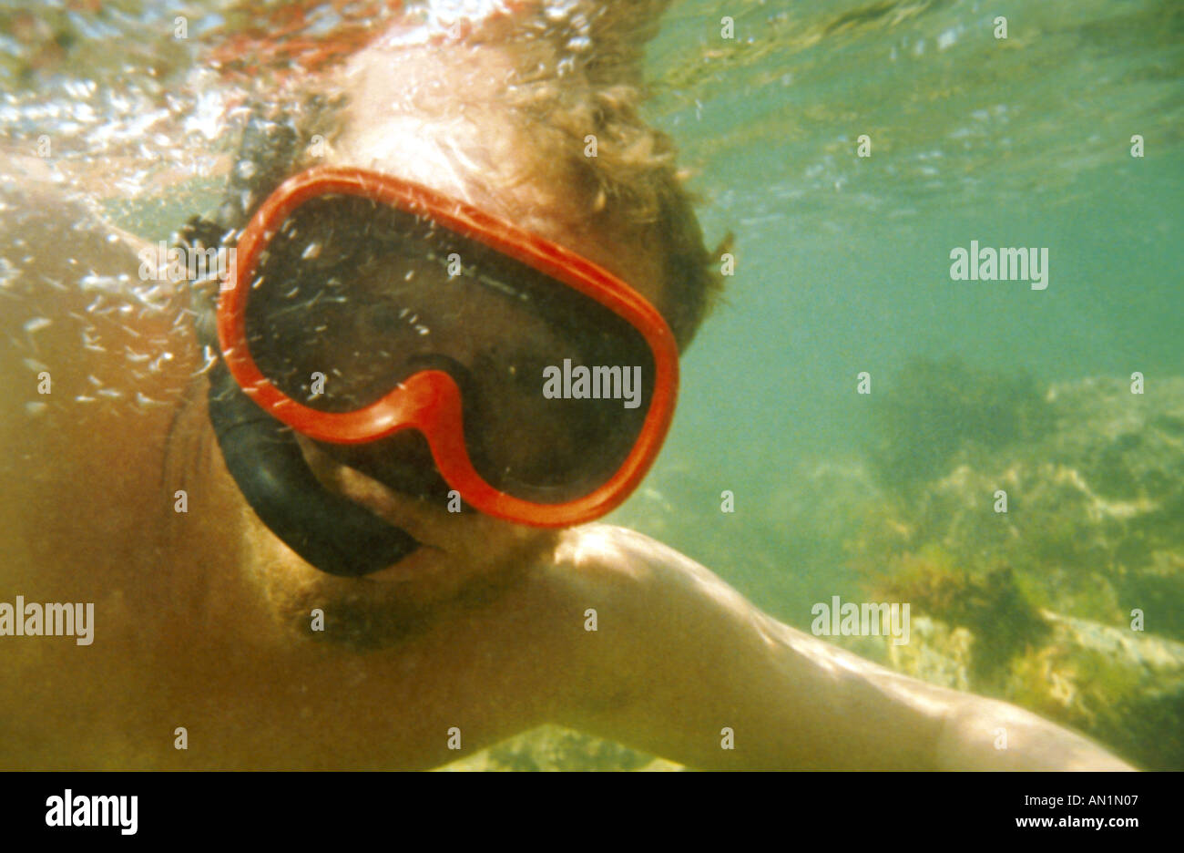 Skin dive under water hi-res stock photography and images - Alamy