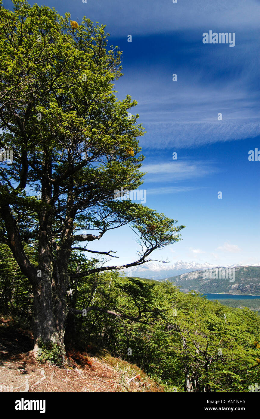 Tierra del Fuego Argentina South America Stock Photo - Alamy
