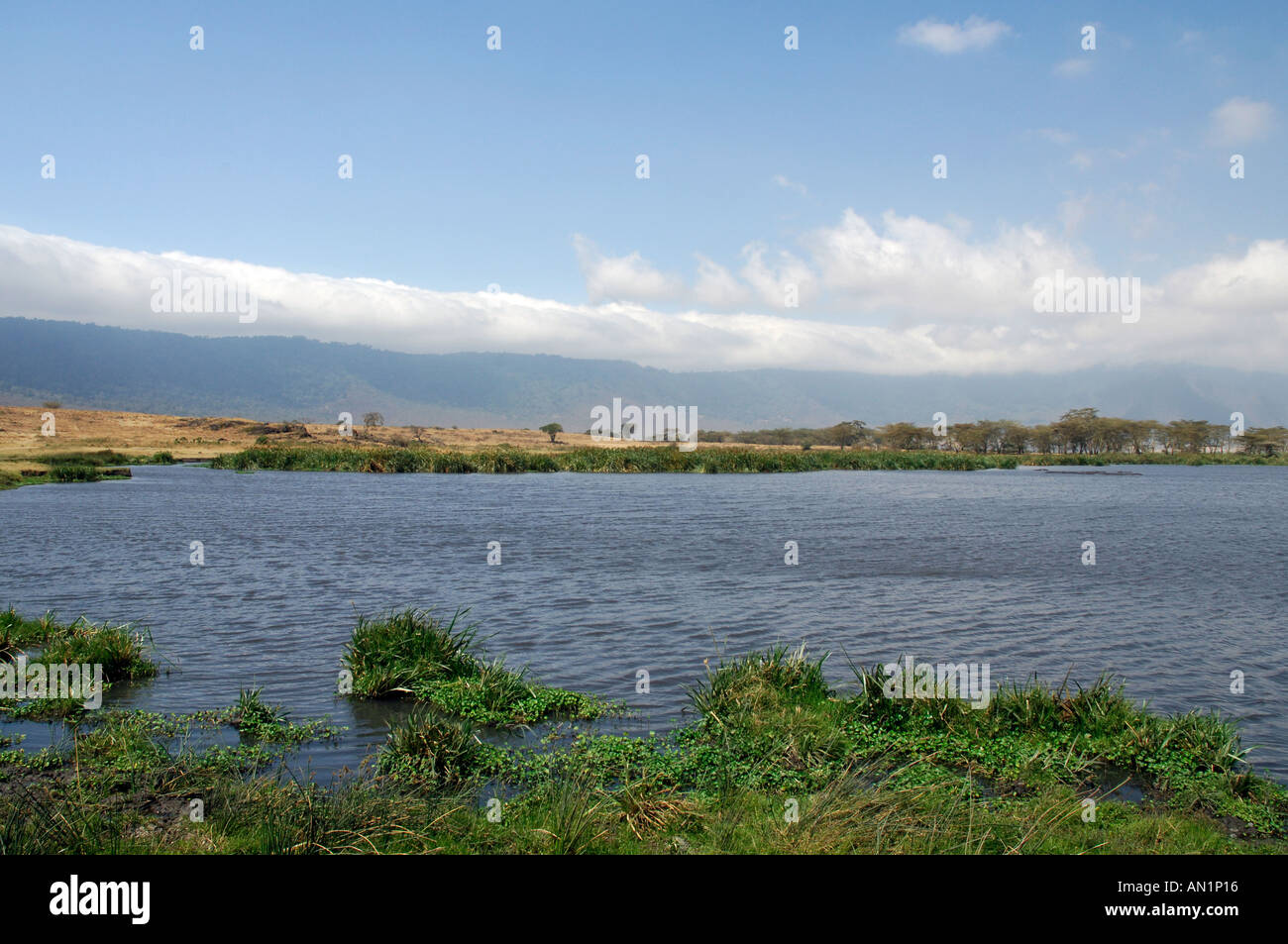 Ngoitokitok springs hi-res stock photography and images - Alamy