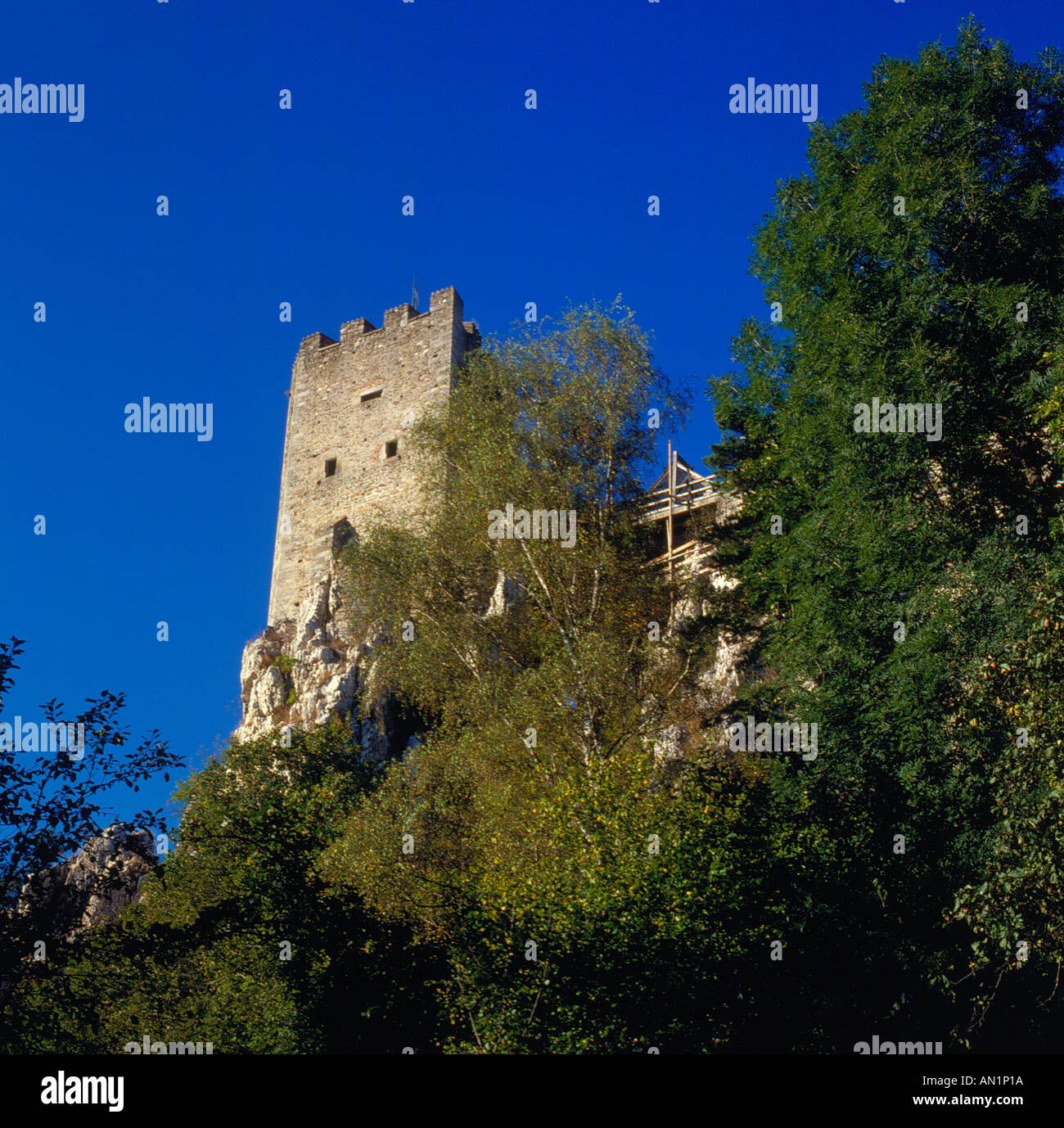 Burg Weissenstein castle Weissenstein Bavarian Forest Bavaria Germany ...