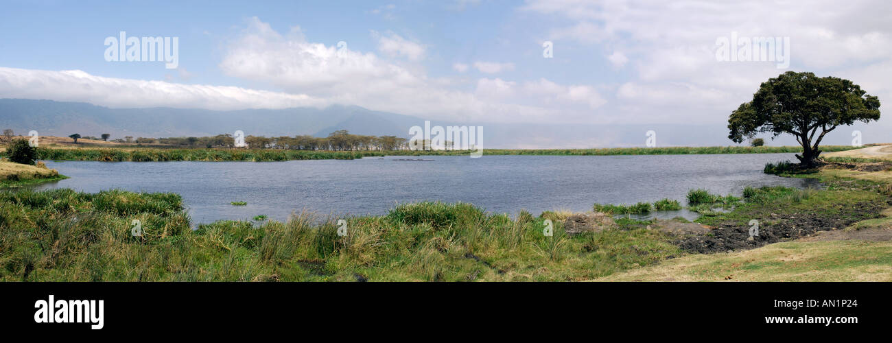 Ngoitokitok spring, Ngorongoro Crater, Tanzania Stock Photo - Alamy