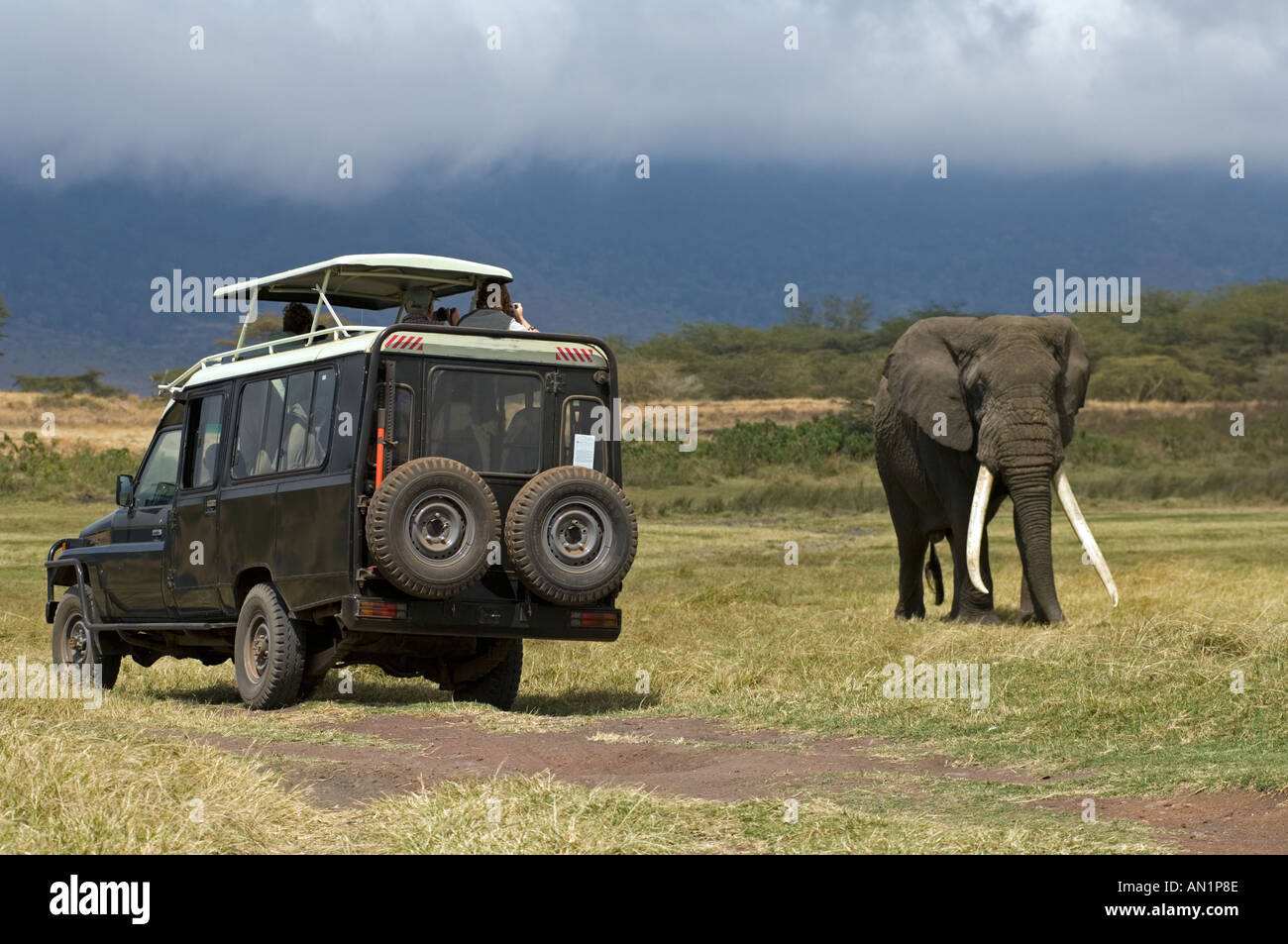 Tourists enjoy watching a Big Tusker (Elephant) from close range in ...