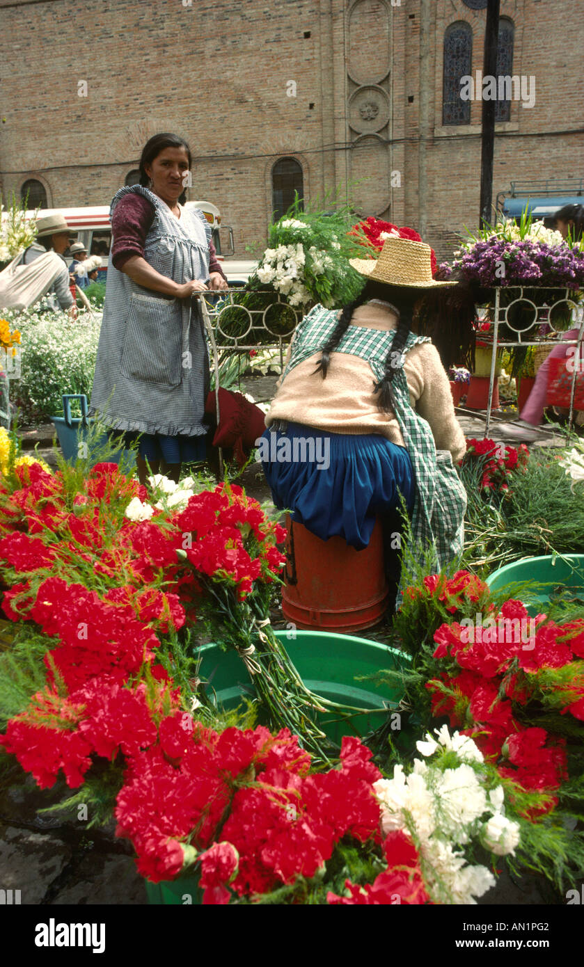 Cuenca ecuador flowers hi-res stock photography and images - Alamy