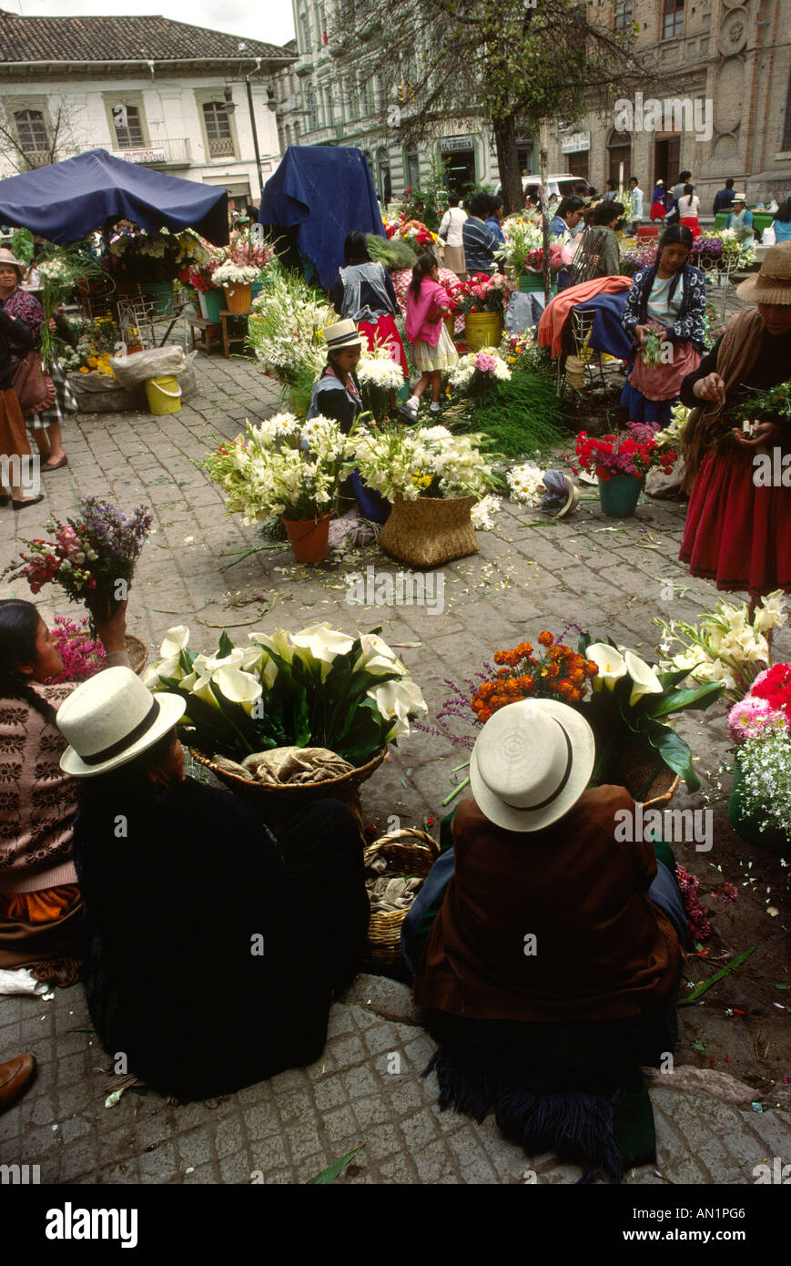 Ecuador Cuenca flower market Indian women Stock Photo - Alamy