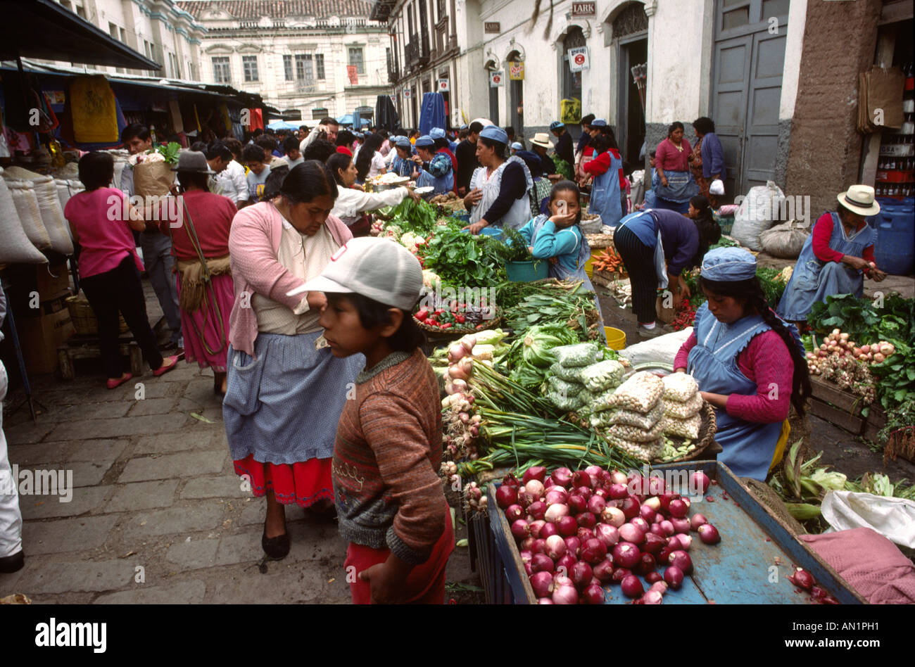 Ecuador market potato hi-res stock photography and images - Alamy