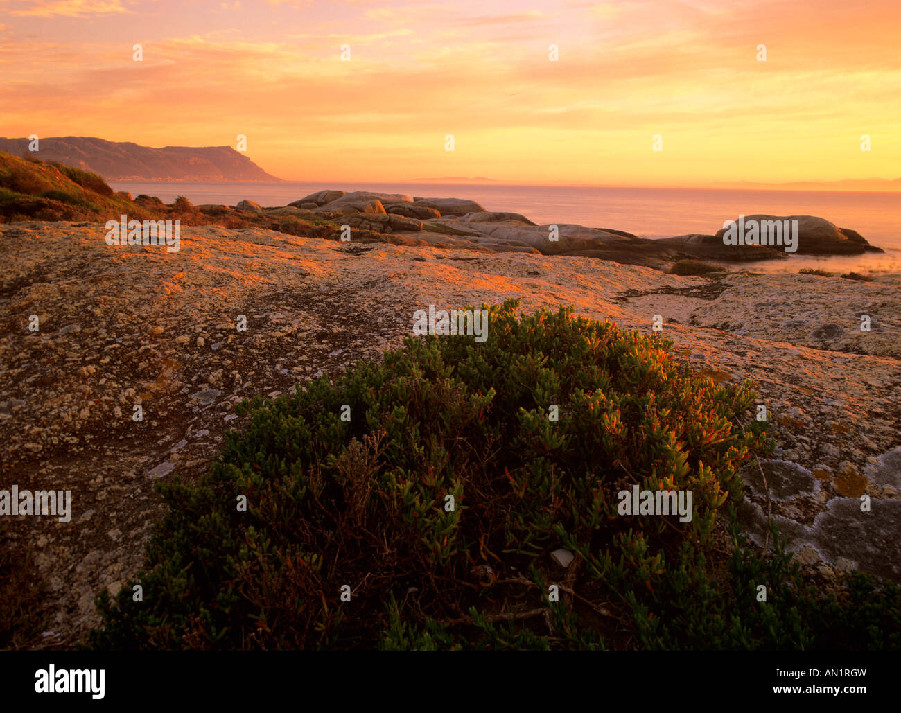 Still bay beach south africa hi-res stock photography and images - Alamy