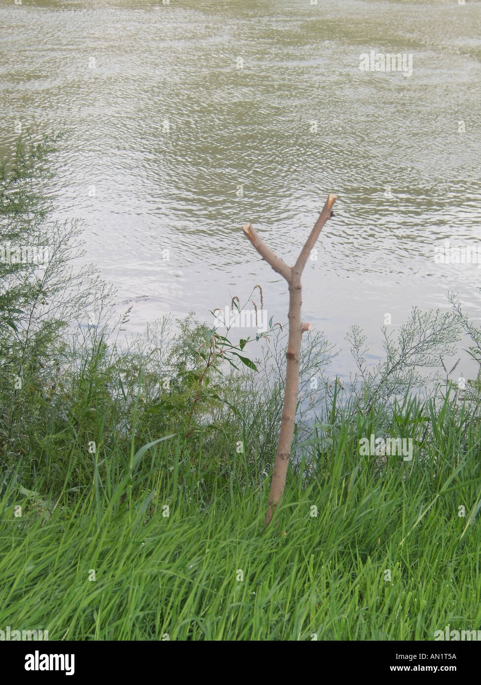 wooden stick fishing rod stand by river Stock Photo - Alamy